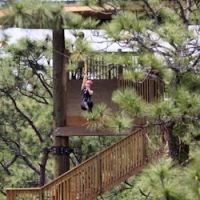 Gatorland Orlando Zipline - Book Tickets Now - UNATION