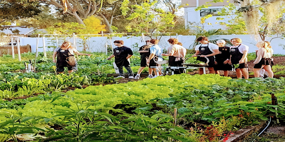 Earth Month @ the Farm Class: Healthy Seeds & Plants (grade 4+ up ...