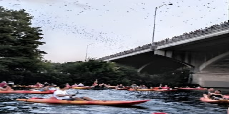 Congress Avenue Bat Bridge Kayak Tour in Austin - UNATION