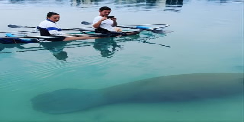 Clear Kayak Tour in Jupiter - UNATION