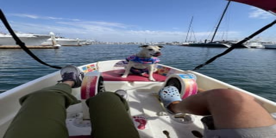 Pedal Boat rental in hidden part of San Diego Bay! - UNATION