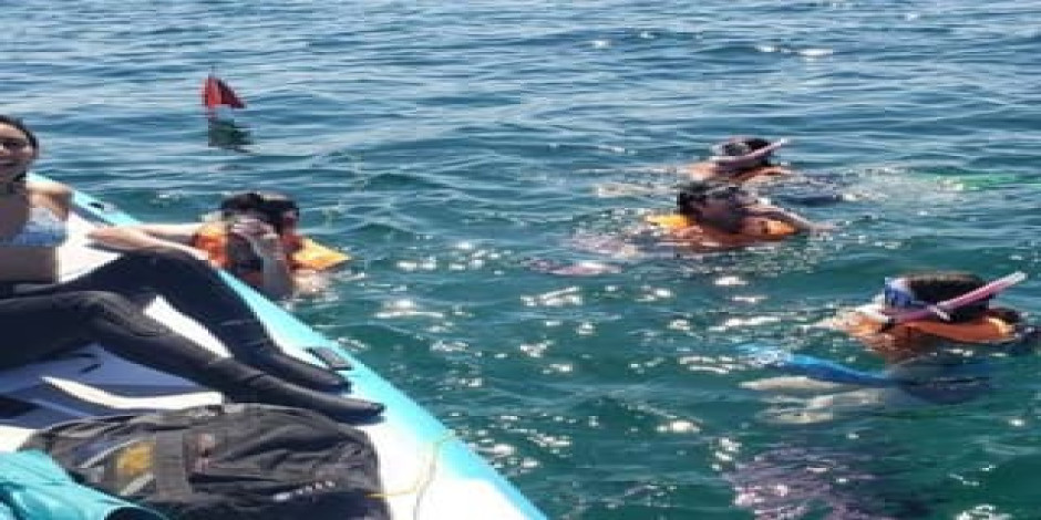 Beginner Friendly Island Snorkeling - UNATION