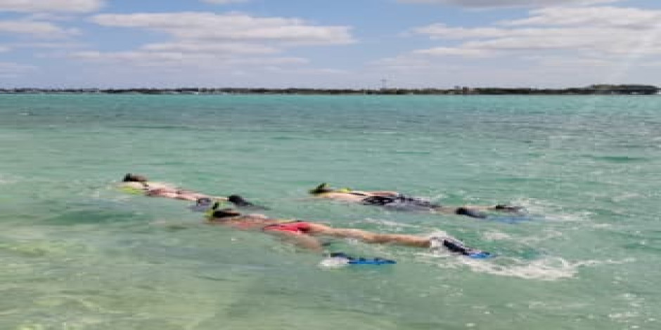 Miami: Island Snorkeling Tour by SUP or Kayak - UNATION