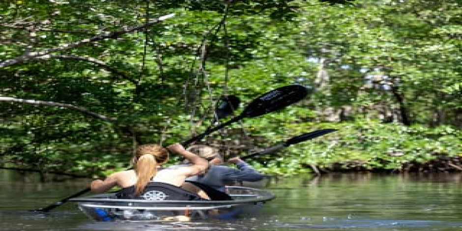 Clear Kayak Tour in North Miami Beach - Mangrove Tunnels - UNATION