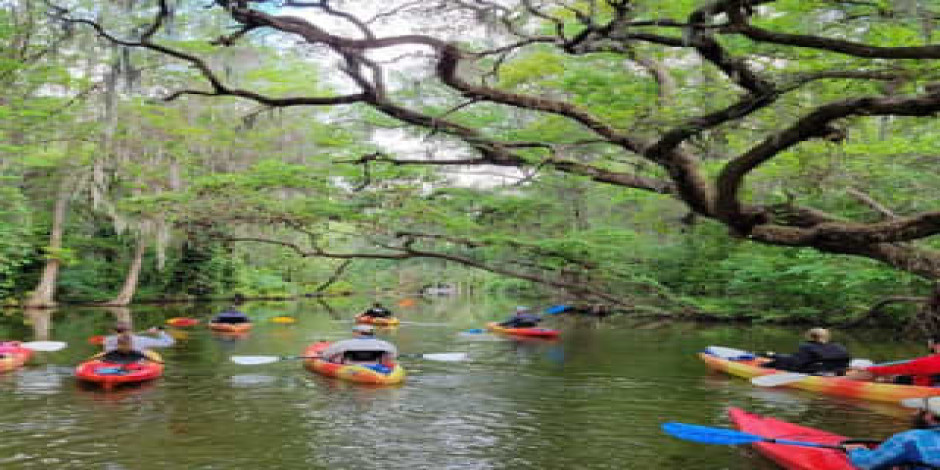 Half day kayak and paddle board rentals on the scenic Dora Canal - UNATION
