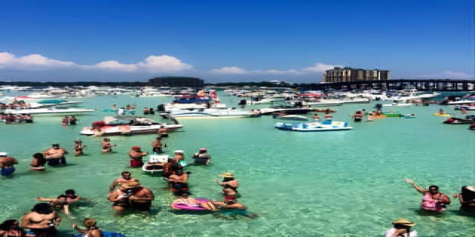 Choose 3-6 hrs. Captained Pontoon Crab Island w/ Dolphin Cruise - UNATION