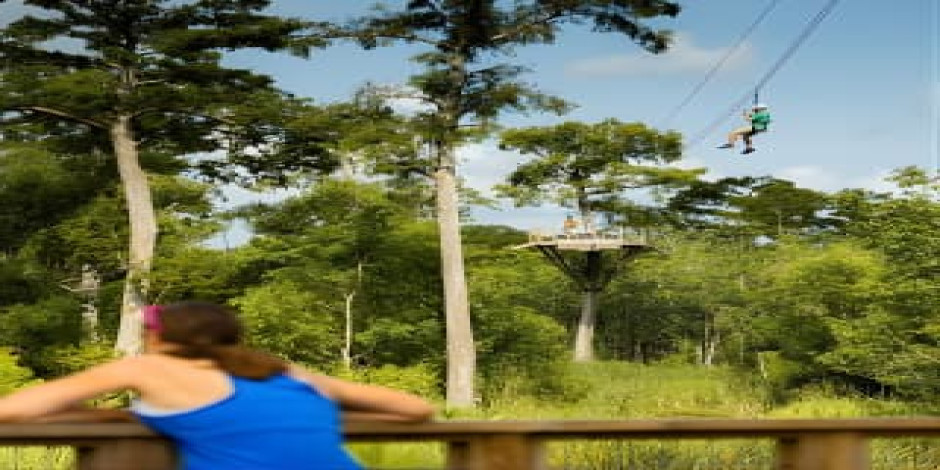 New Orleans Zipline Swamp Tour - UNATION