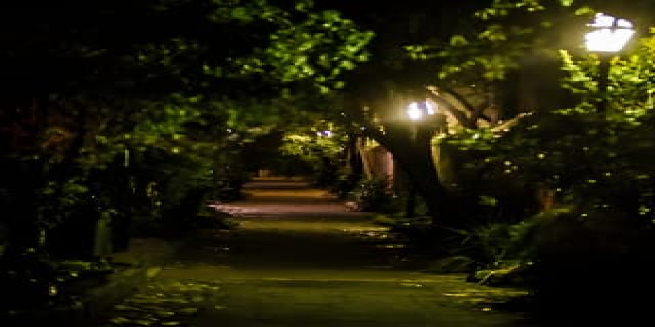 Dark Side of Charleston Guided Night-Time Walking Tour - UNATION