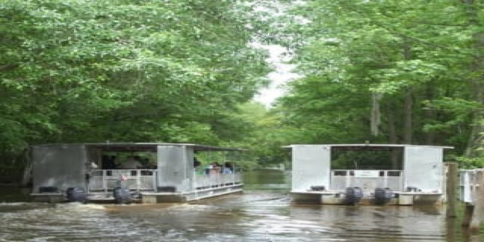 Jean Lafitte Swamp and Bayou Tour - UNATION