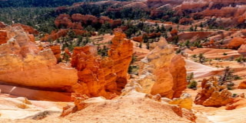 From Las Vegas: Bryce Canyon & Zion National Parks Day Tour with Lunch ...