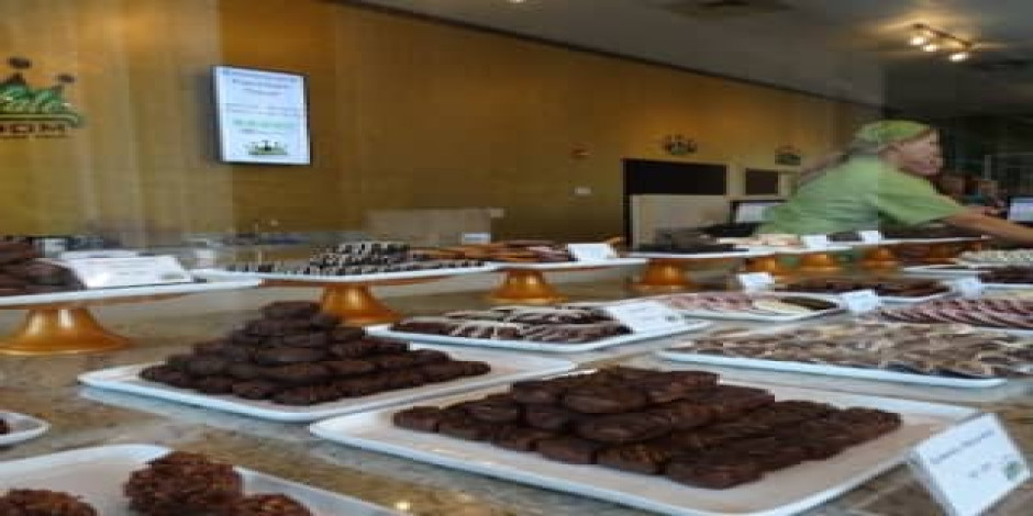 Chocolate Kingdom Factory Tour - UNATION