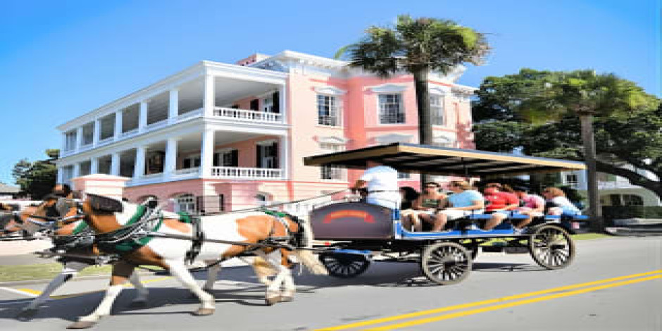Daytime Horse-Drawn Carriage Sightseeing Tour of Historic Charleston ...