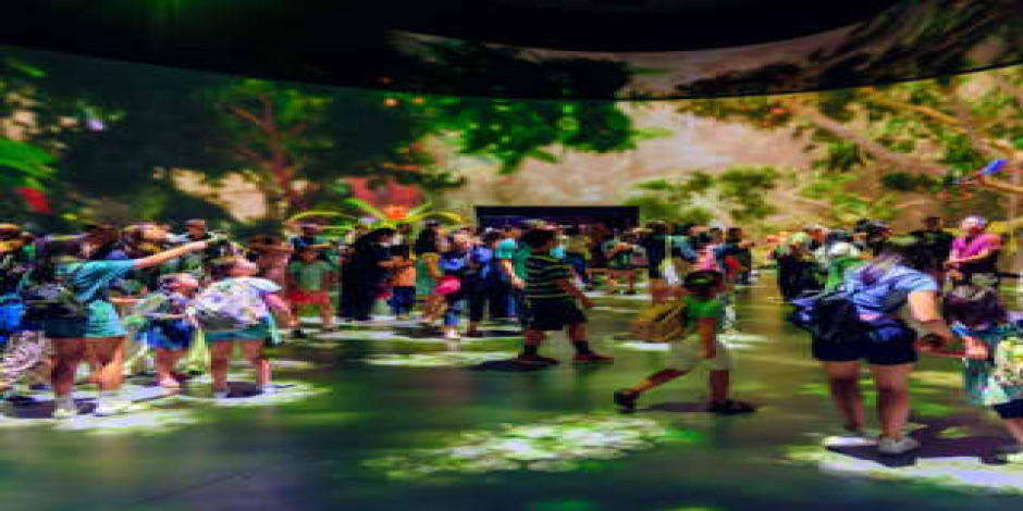 American Museum of Natural History (AMNH): Plus One Ticket - UNATION