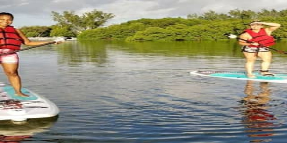 Miami Kayak and Paddleboard Rentals in Virginia Key - UNATION