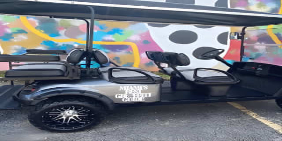 Miami's Best Graffiti Guide - VIP Golf Cart Tour - 2-5 ppl - UNATION