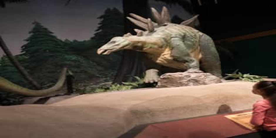 Pacific Science Center: Entry Ticket - UNATION