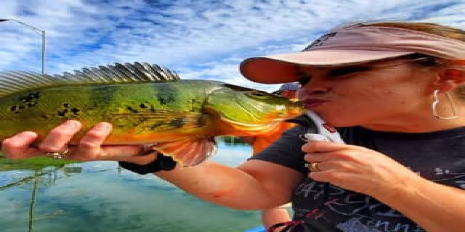 Peacock Bass in Florida near Biscayne Bay - UNATION