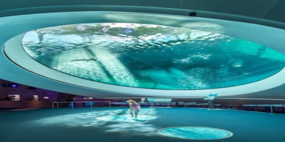 Phillip & Patricia Frost Museum of Science, Aquarium & Planetarium ...