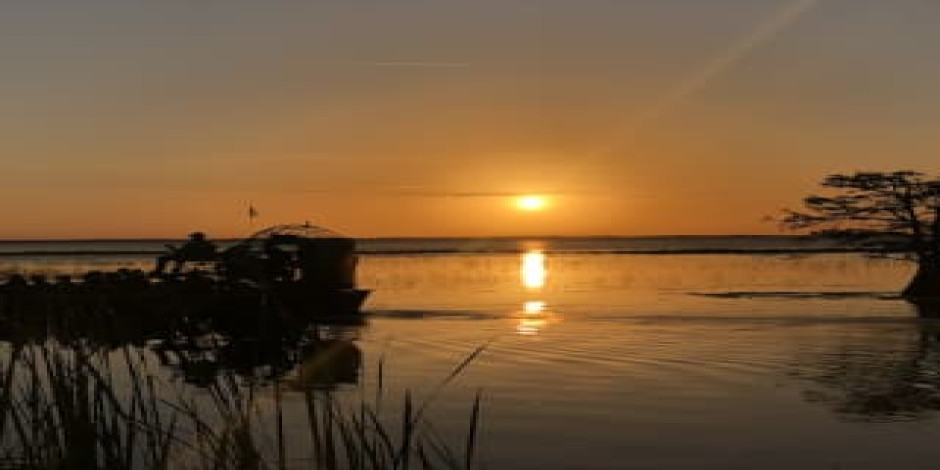 1-Hour Boggy Creek Sunset Airboat Tour - UNATION