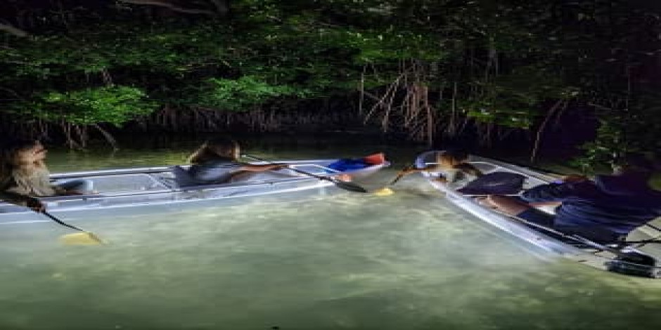 Clear Kayak LED Night Glass Bottom Tour - Siesta Key, FL - UNATION