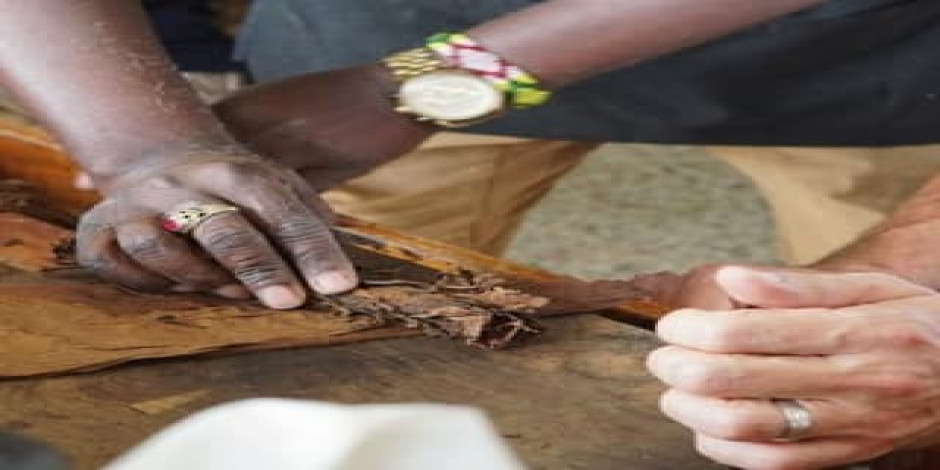 Cigar Factory Tour - UNATION