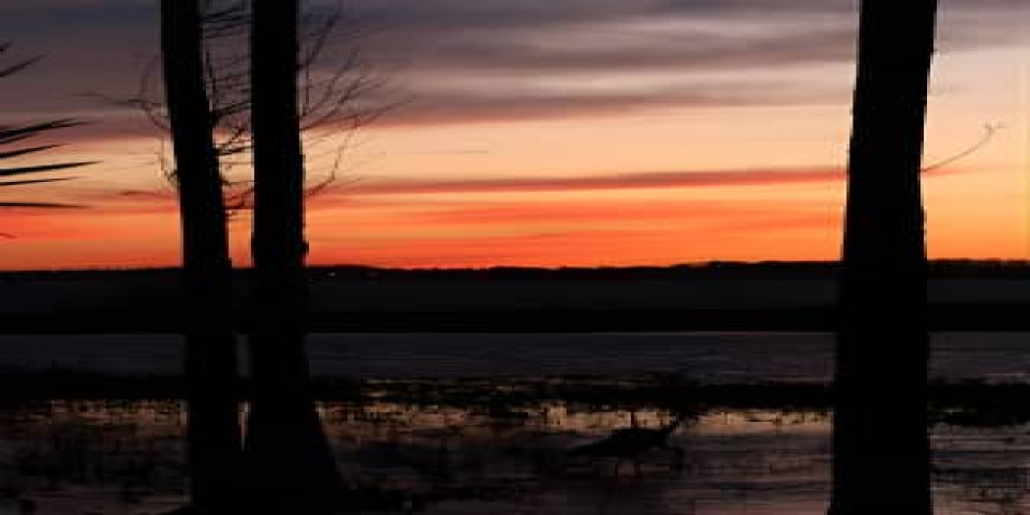 1-Hour Sunset Airboat Ride near Orlando - UNATION