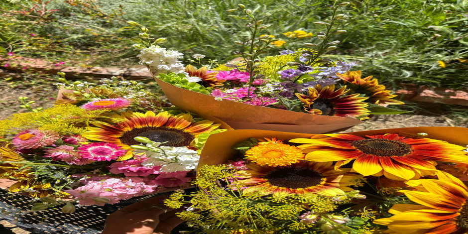 Bouquet Design Workshop with Farmer Hayley 15015 Armstrong Woods Rd ...